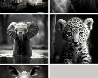Big 5 African Animals Black and White Digital Print Lion Buffalo Elephant Leopard Rhino - Etsy