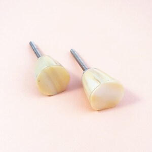 Small Shell Knob Small Cabinet Knob Natural Decor - Etsy