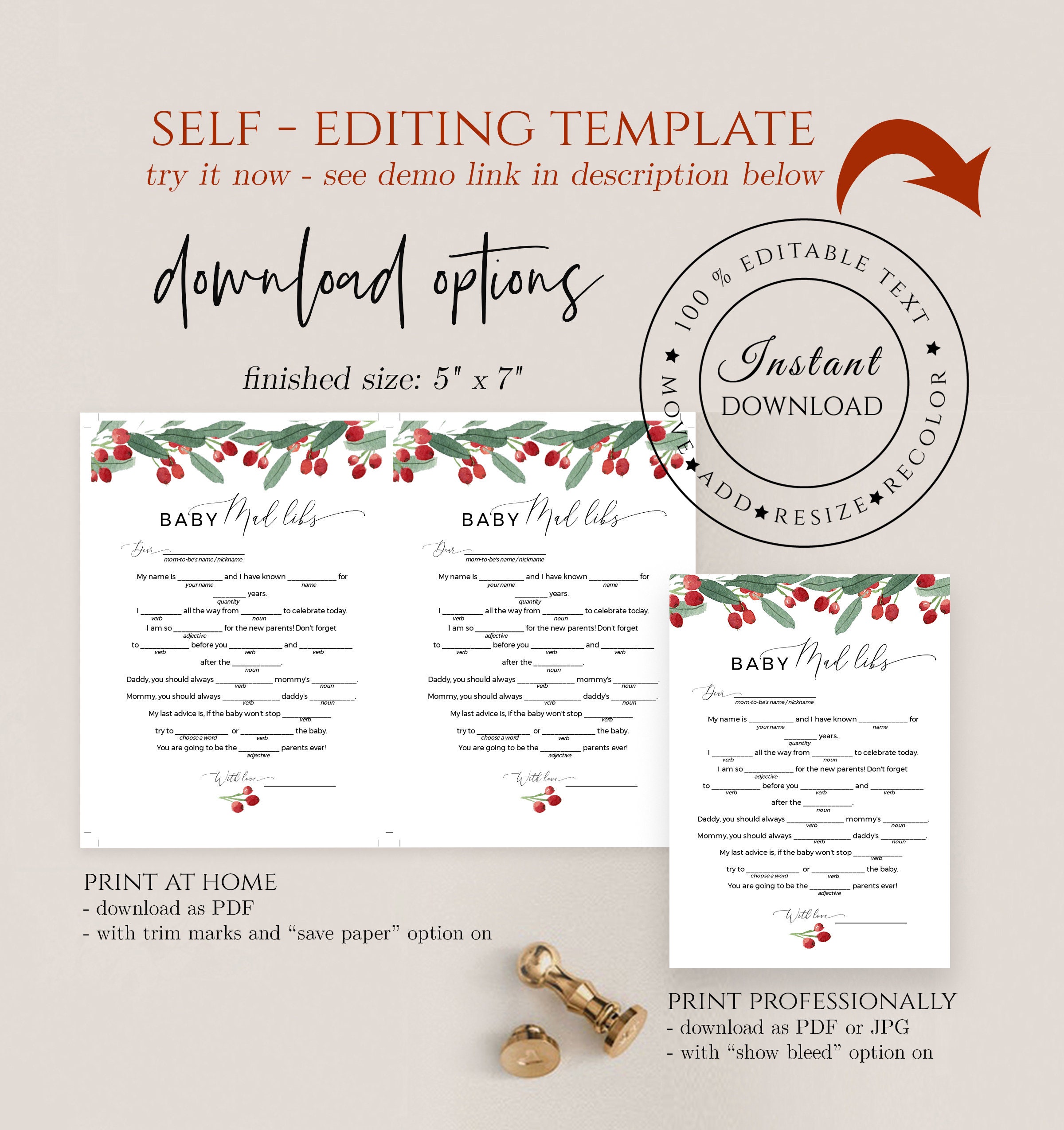 Christmas Holly Baby Shower Mad Libs Game: Advice Card Template (DIY ...
