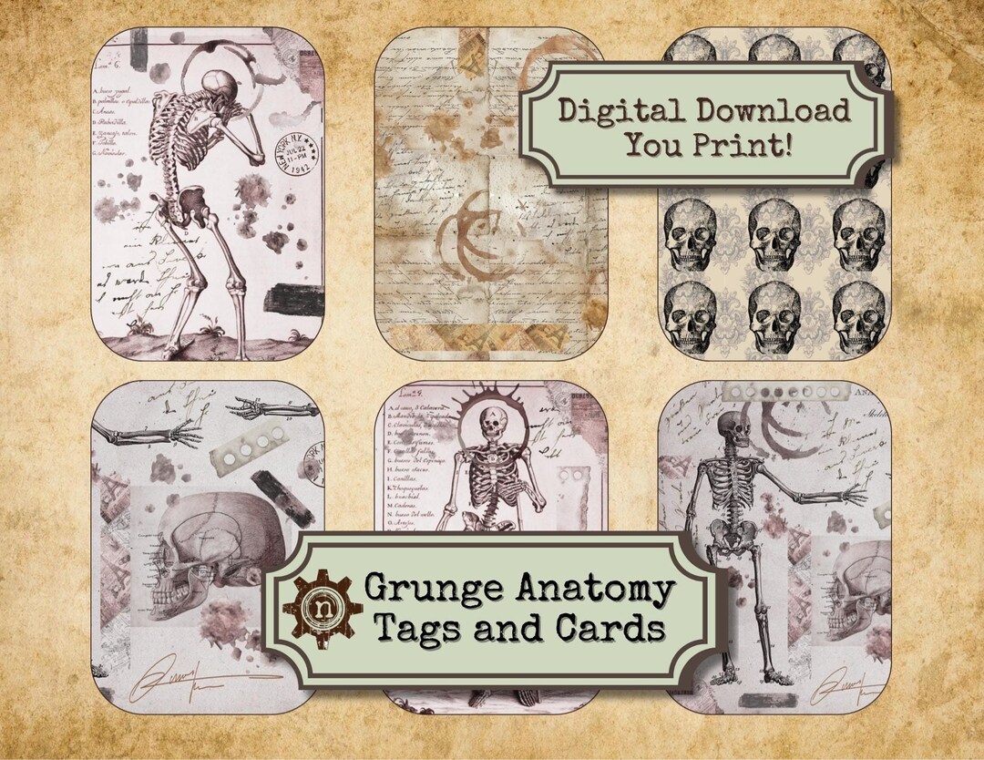 Vintage Grunge Anatomy Skeleton Tags and Journal Cards Digital Download ...