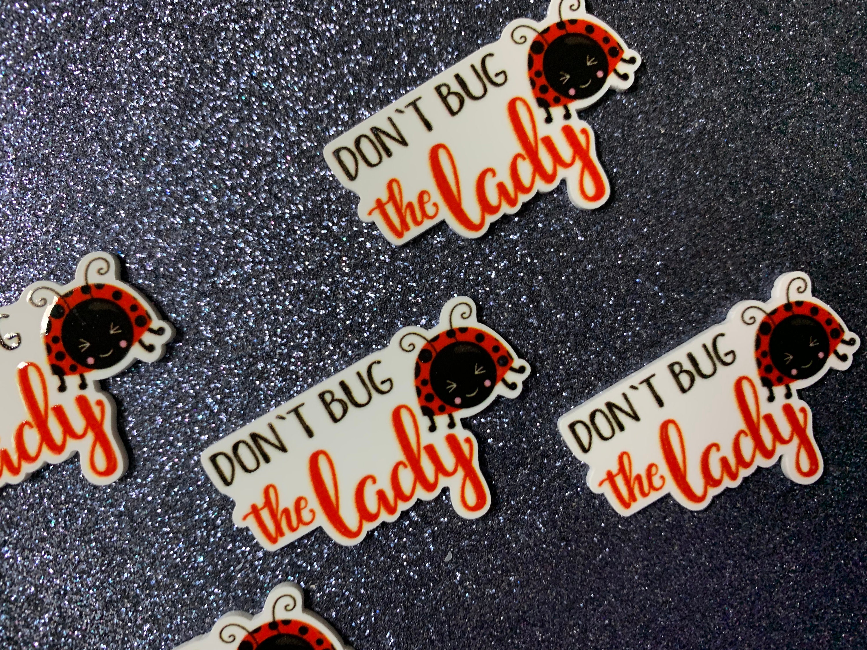 5pc. Don't Bug the Ladybug Ladybug Hugs Lady Bug Planar | Etsy