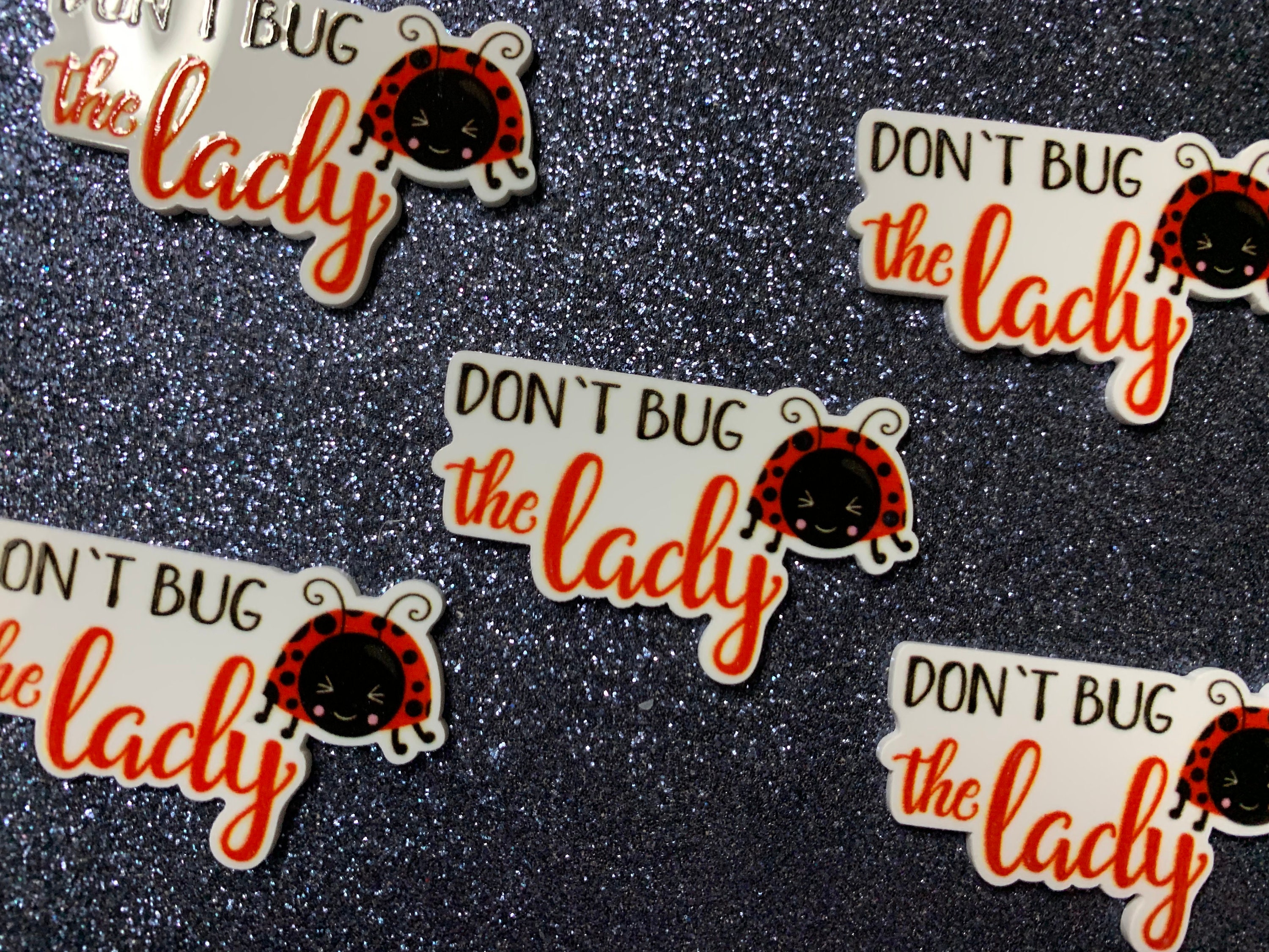 5pc. Don't Bug the Ladybug Ladybug Hugs Lady Bug Planar - Etsy