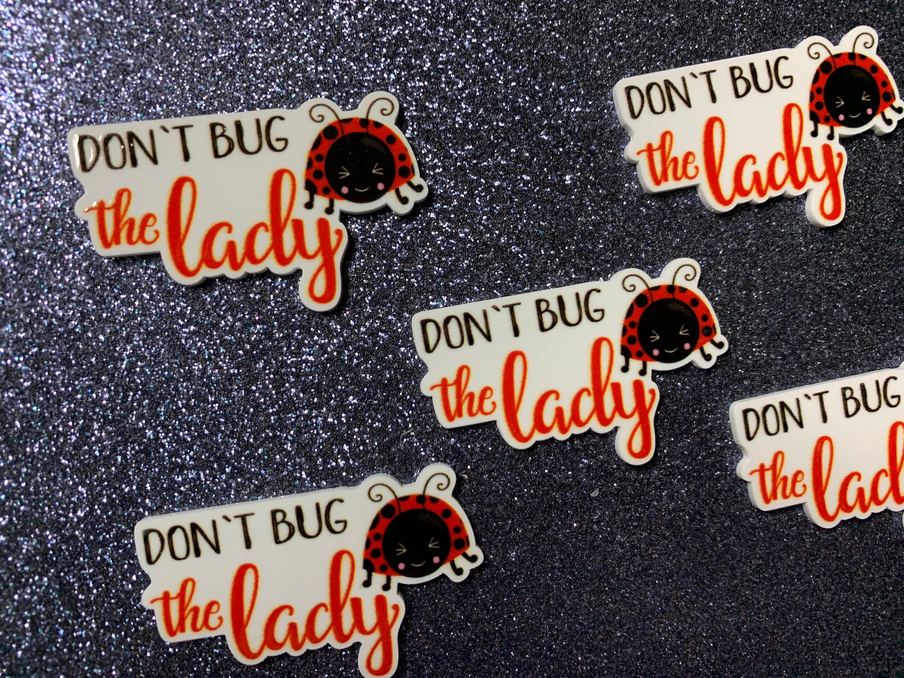 5pc. Don't Bug the Ladybug Ladybug Hugs Lady Bug Planar - Etsy