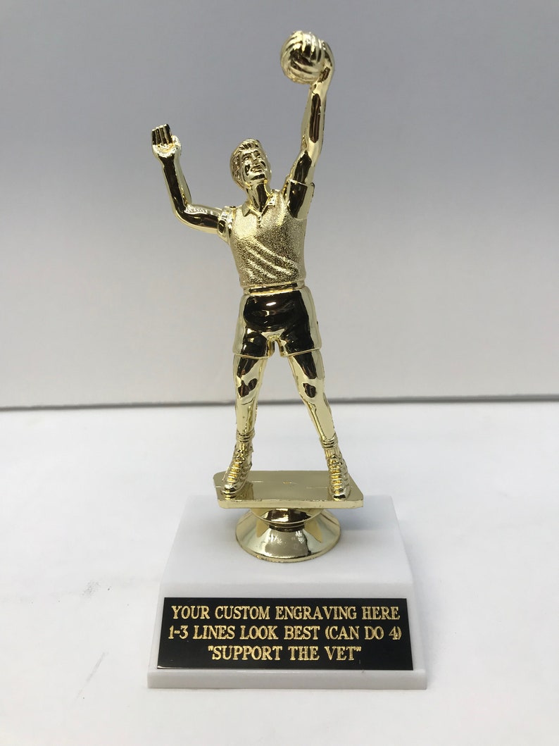 Volleyball Award Trophy 7" Male or Female Free Custom Engraving ...