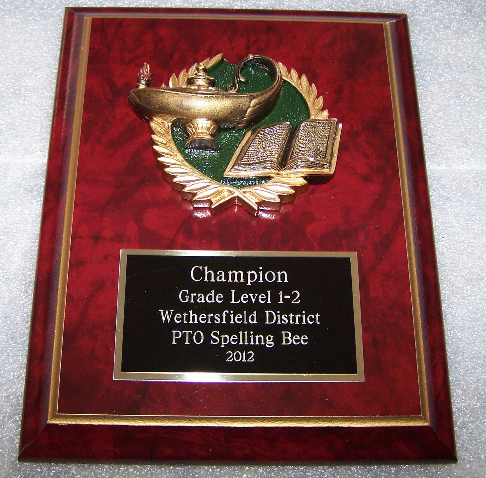 Cub Scout Girl Scout Boy Scout Award Plaque 7x9 Free Custom - Etsy