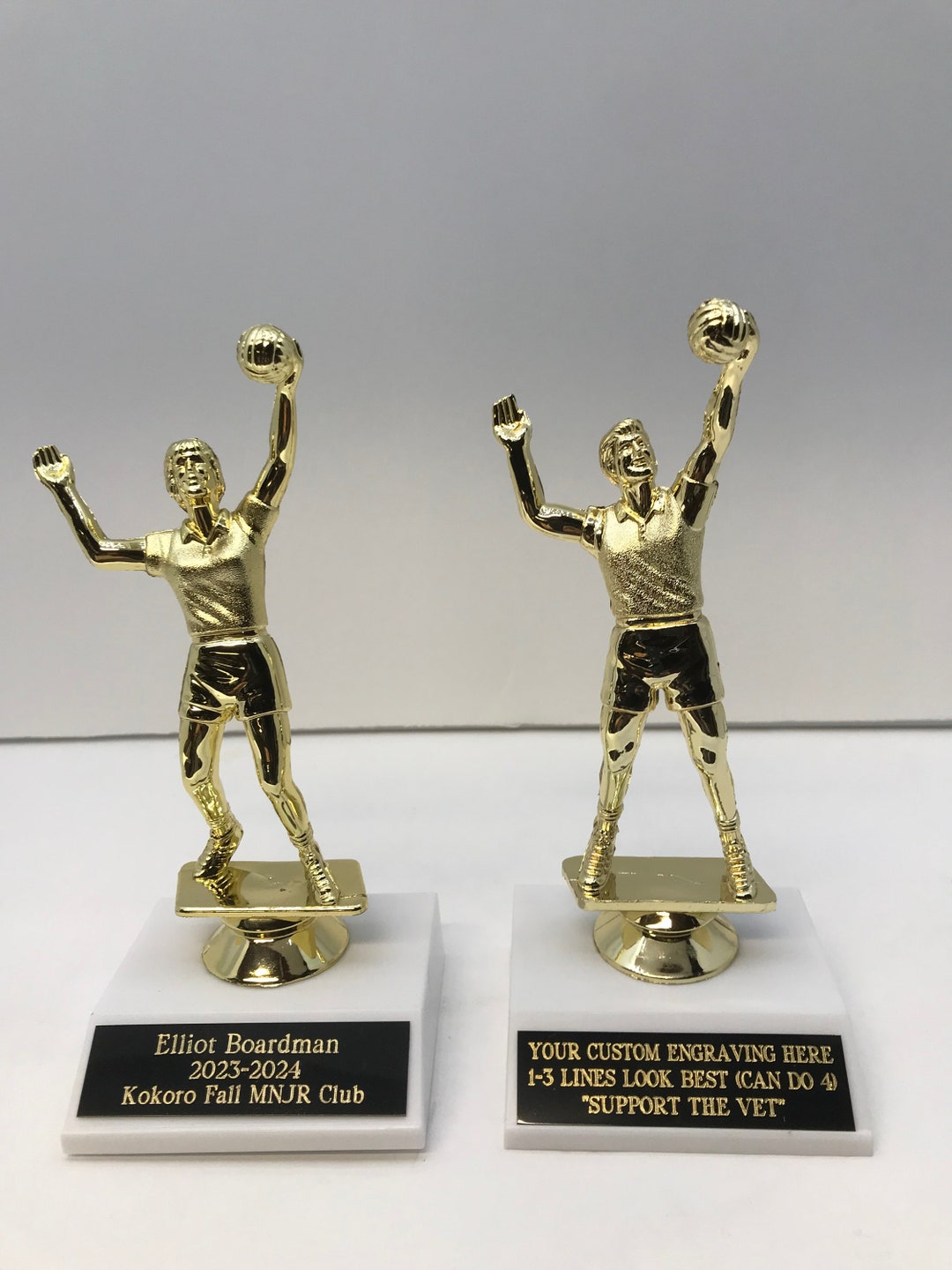 Volleyball Award Trophy 7" Male or Female Free Custom Engraving ...