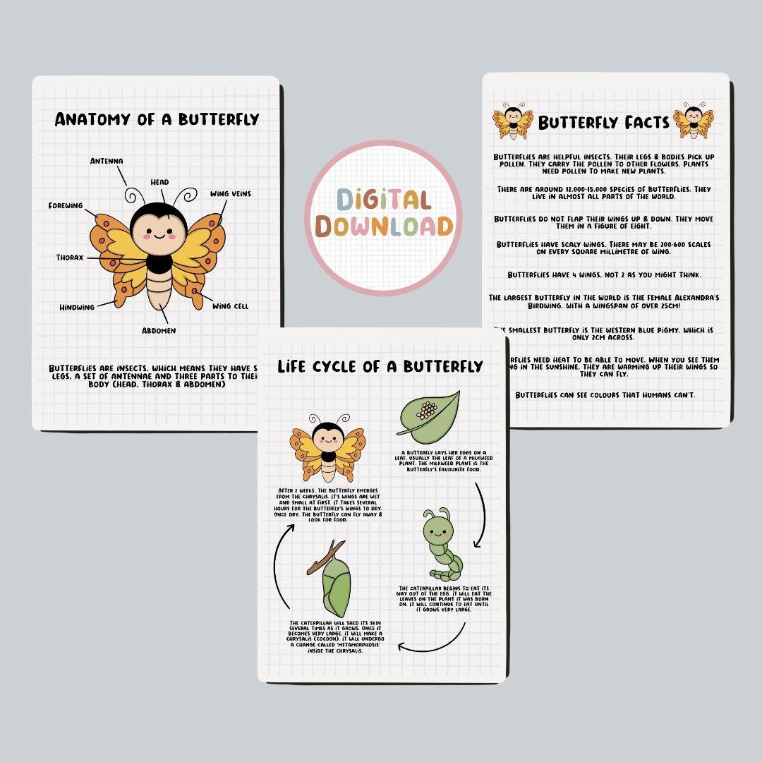 DIGITAL DOWNLOAD Life Cycle of a Butterfly Poster Infomation Set - Etsy