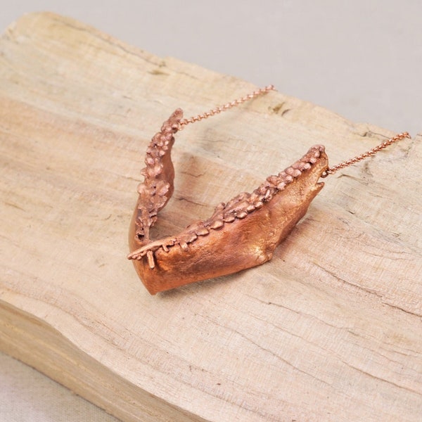 Snapping Turtle - Etsy