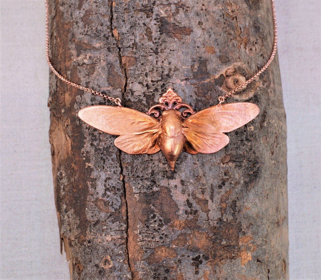 Real Cicada on Filigree Design, Medium, Copper Necklace, Electroformed ...