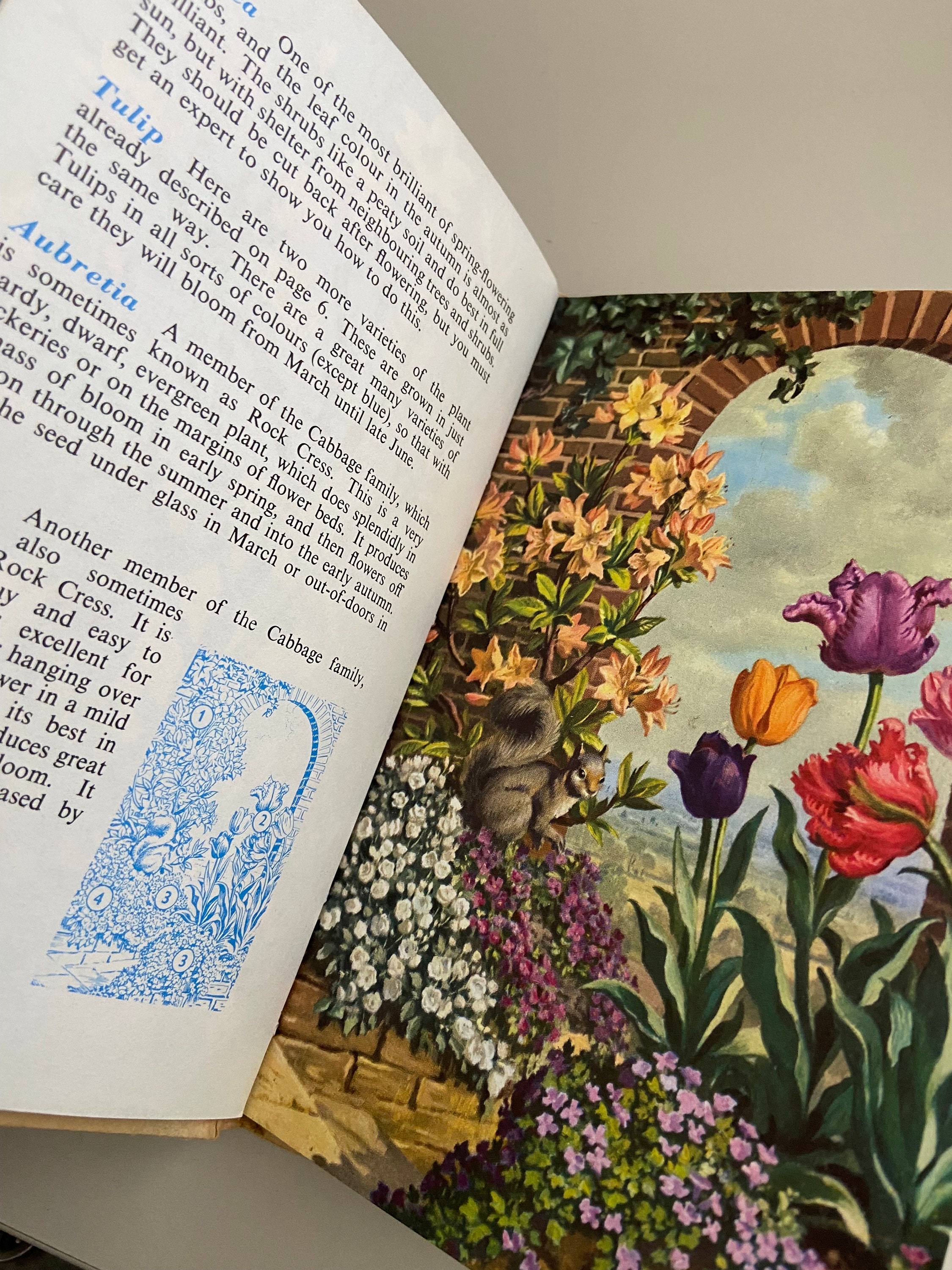 Ladybird Book of Garden Flowers Series 536 - Etsy