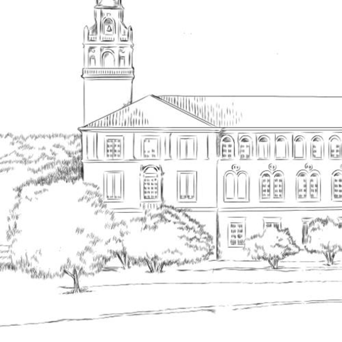 Texas Tech University Art Print Hand Drawn Texas Tech TTU - Etsy