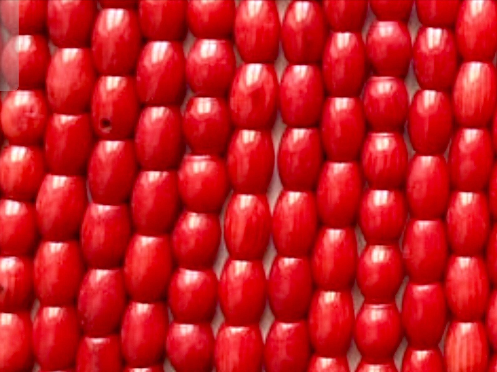 Red Coral Beads an Organic Bead. 5x8mm Barrel Three Color: - Etsy