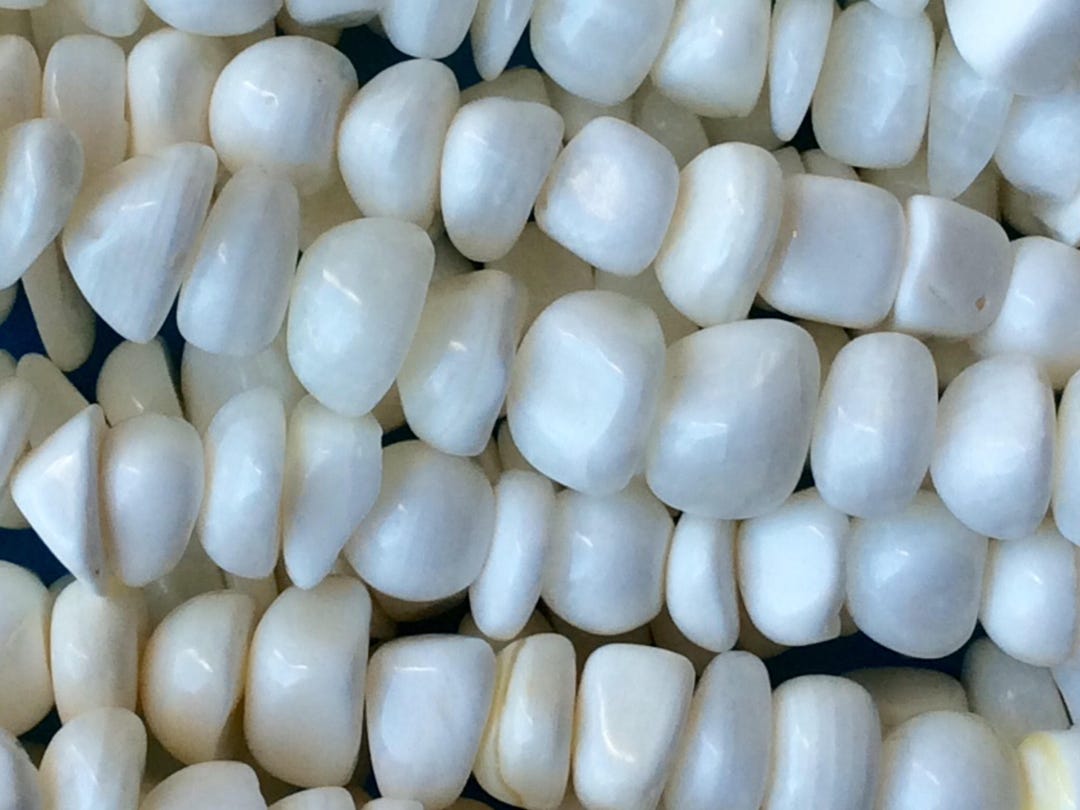 Tridacna Shell Beads, Organic Gemstone Beads, Approx 5x10mm, Pebble ...