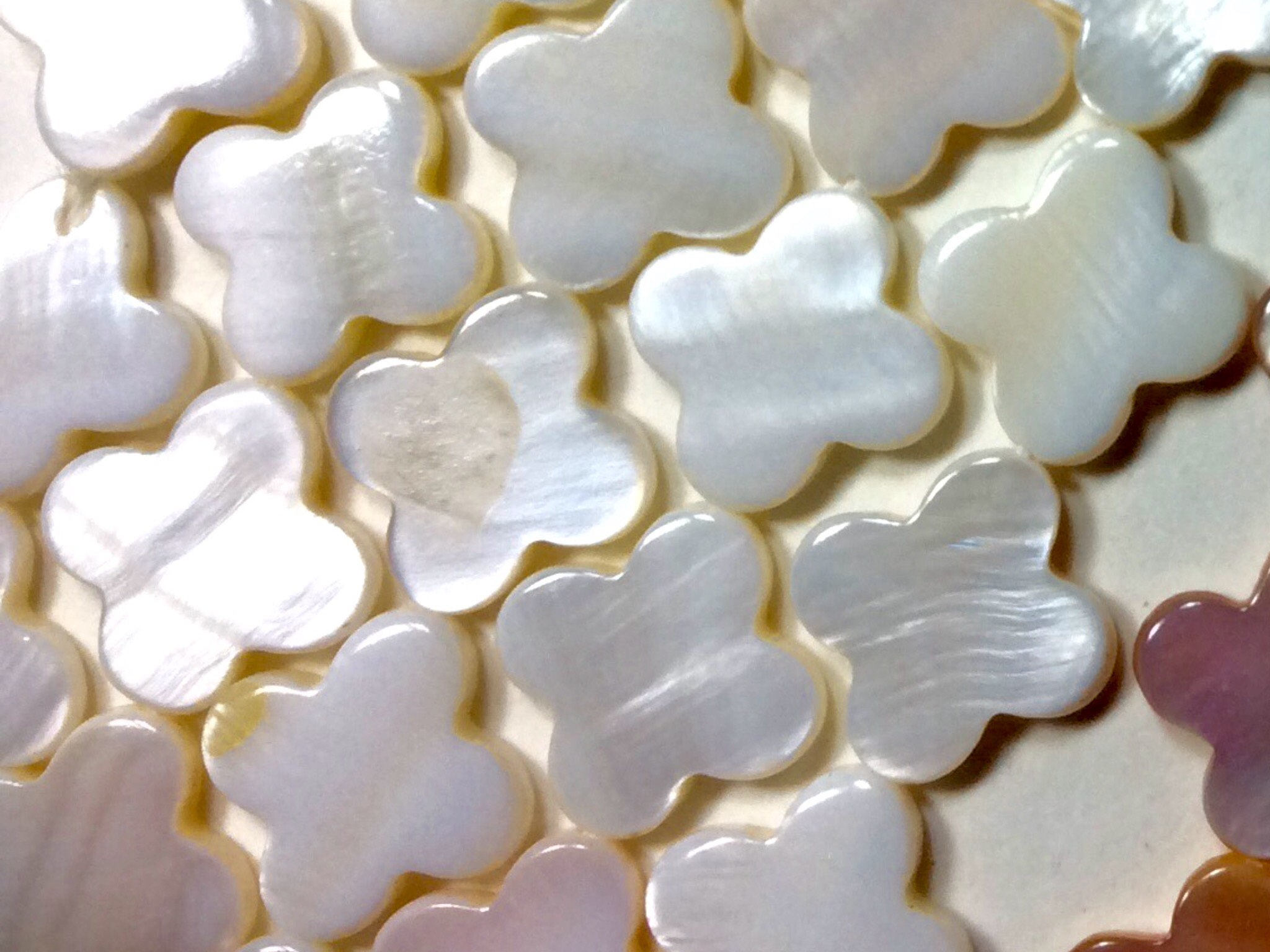 Mother-of-Pearl White OR Golden Lip Shell 13mm Four Leaf - Etsy Polska