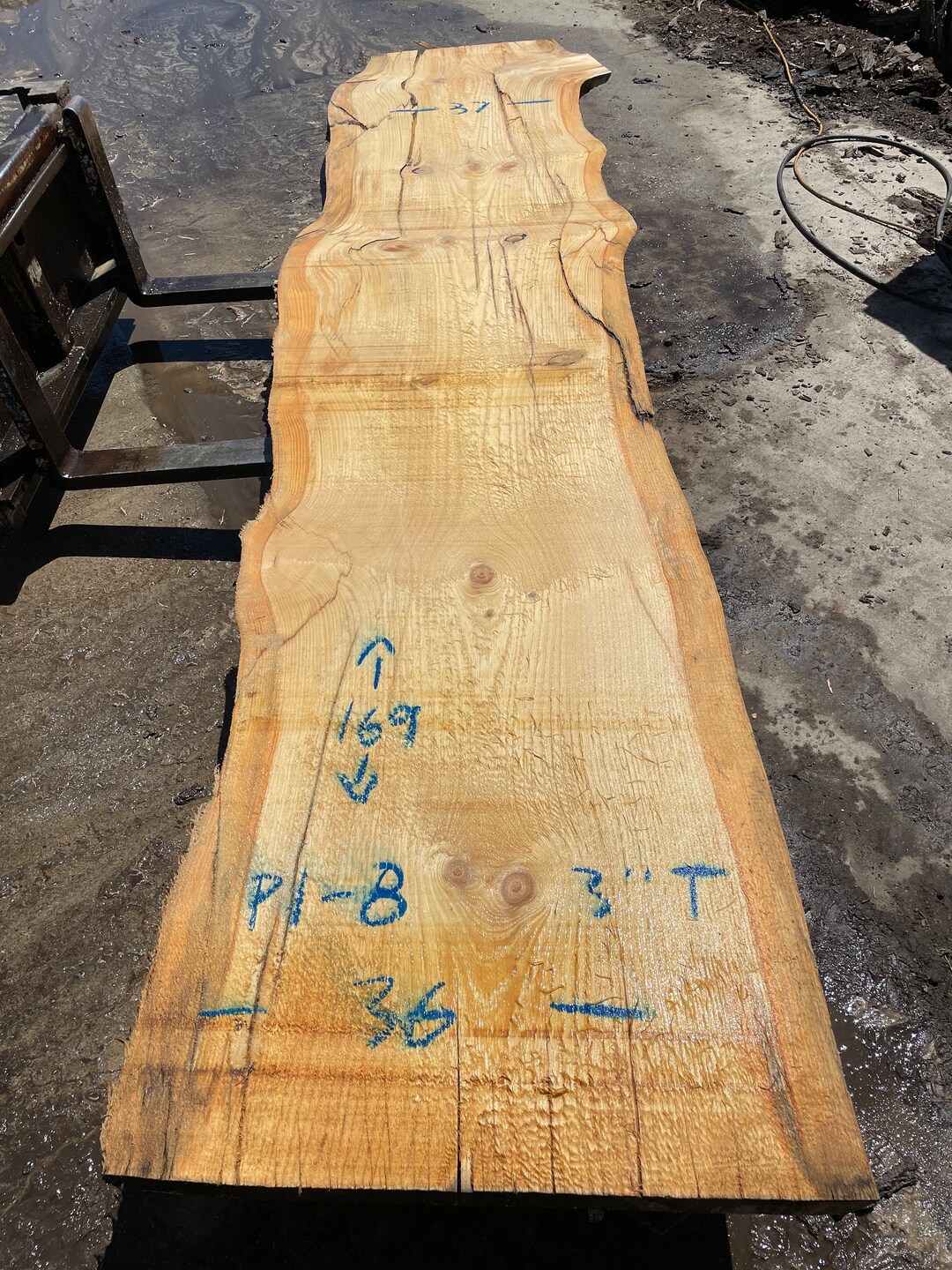 Large Knotty Pine Slab 169" X 36-37" X 3" - Etsy