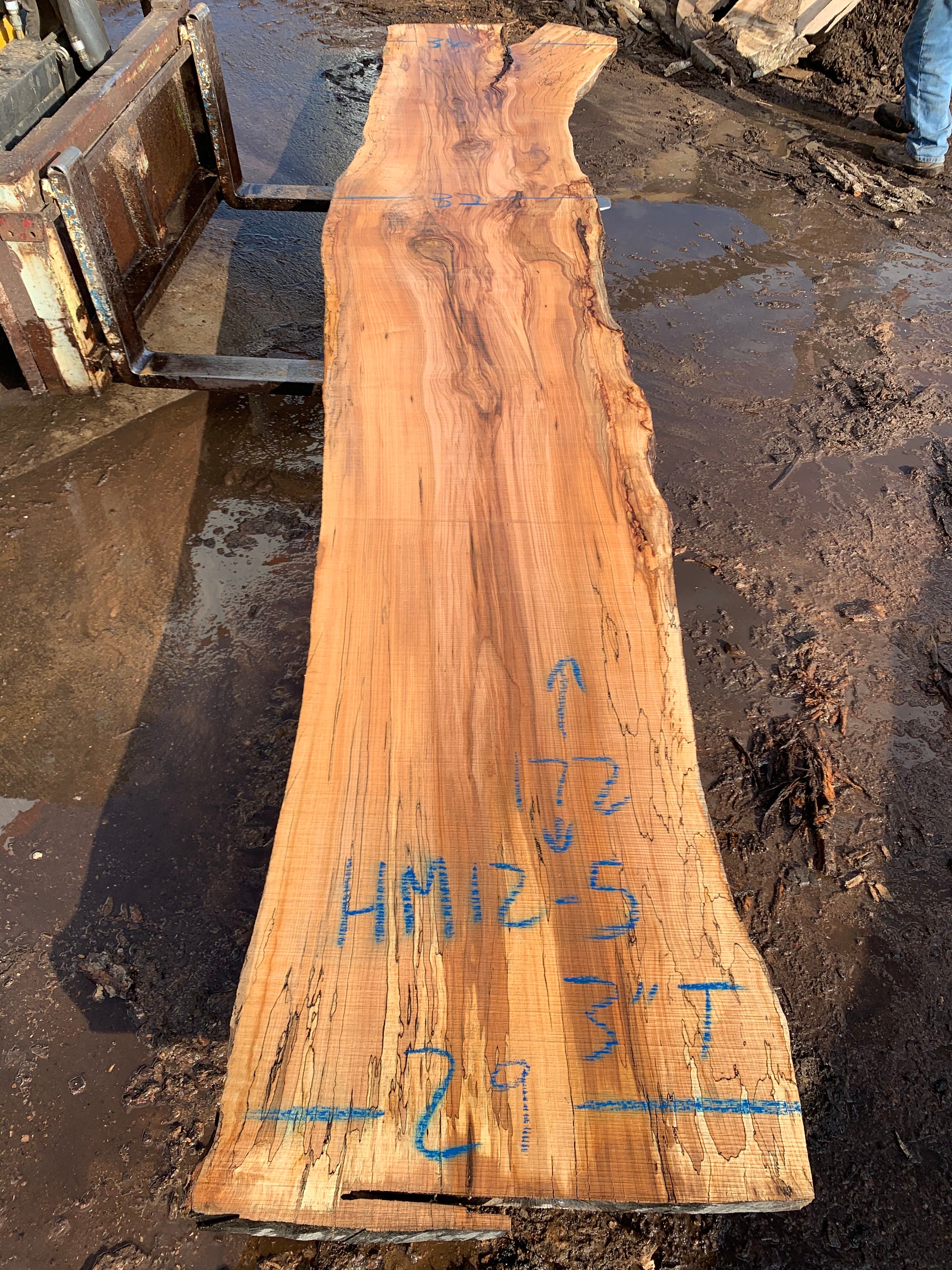 Spalted Sugar Maple Live Edge Slab 172 X 29-36 X - Etsy