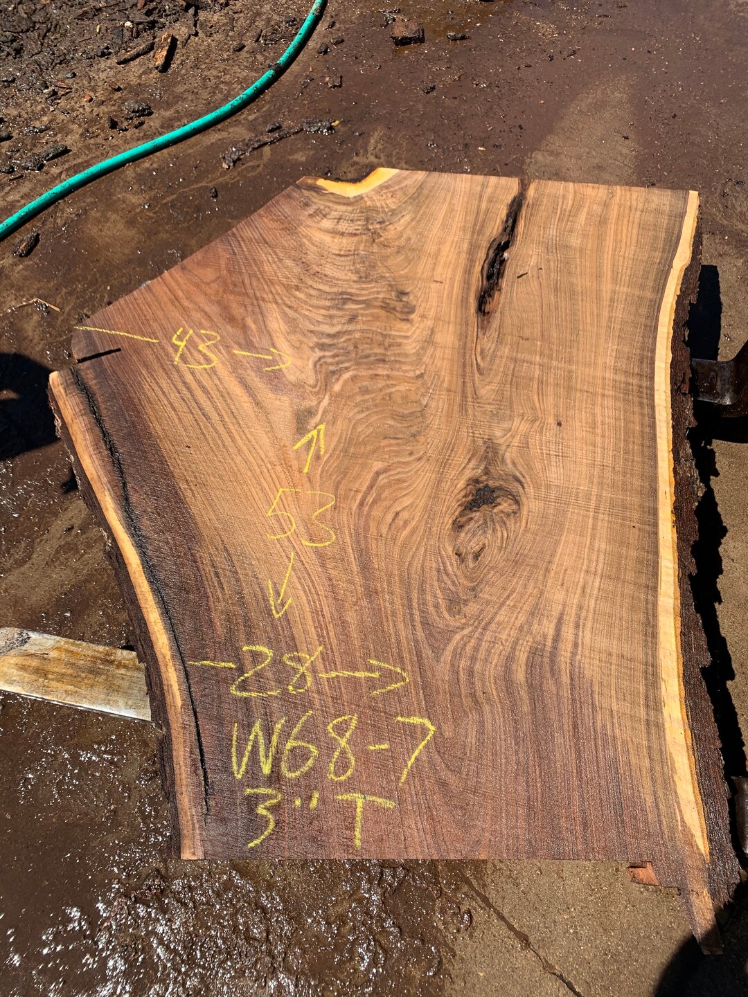 Beautiful BLACK WALNUT Live Edge Slab 53 X 28-43 X 3 Perfect for Coffee ...