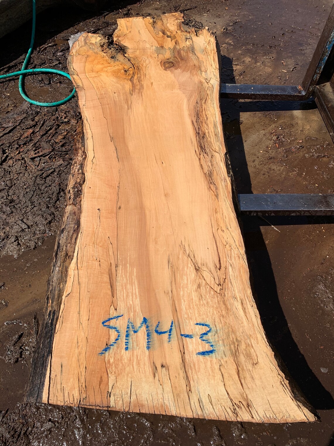 Spalted Silver Maple Live Edge Slab 100" X 34-40" X 3" Perfect for Bar ...