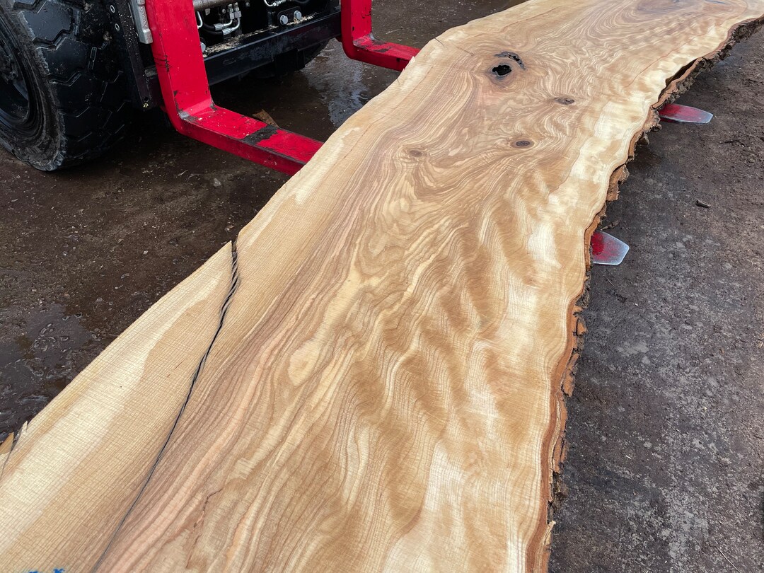 Live Edge Ash Slab 178" X 28-31" X 3", Beautiful Figuring and Perfect ...