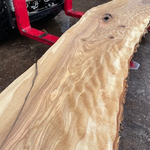 Live Edge Ash Slab 178" X 28-31" X 3", Beautiful Figuring and Perfect ...