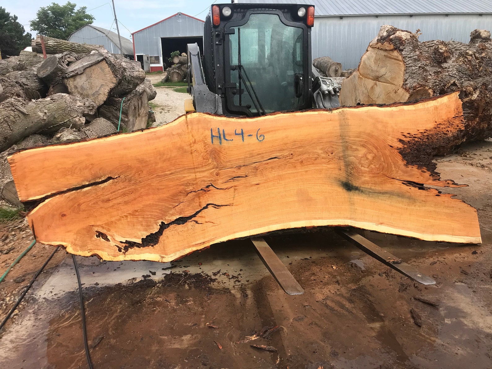 Unique Live Edge Honey Locust Slab With Lots of Character 140 X 44 X 3 ...