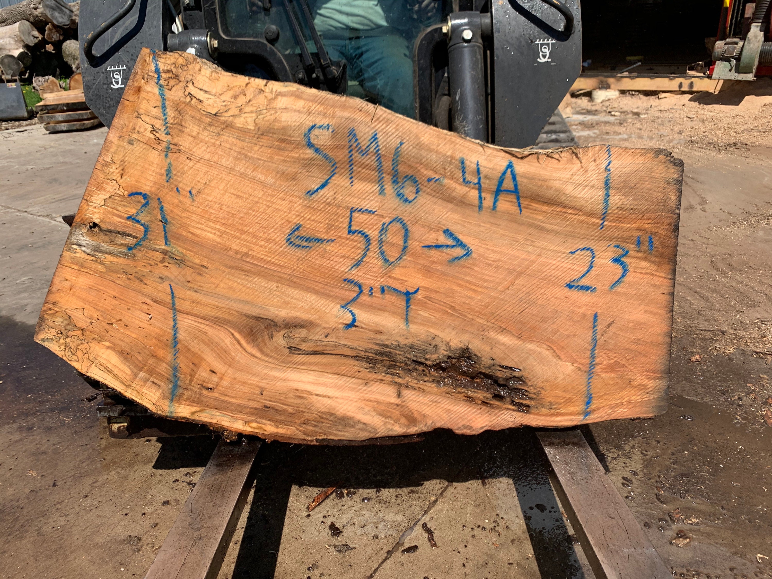 Spalted Silver Maple Live Edge Slab 50 X 23-31 X 3 Perfect for Coffee ...