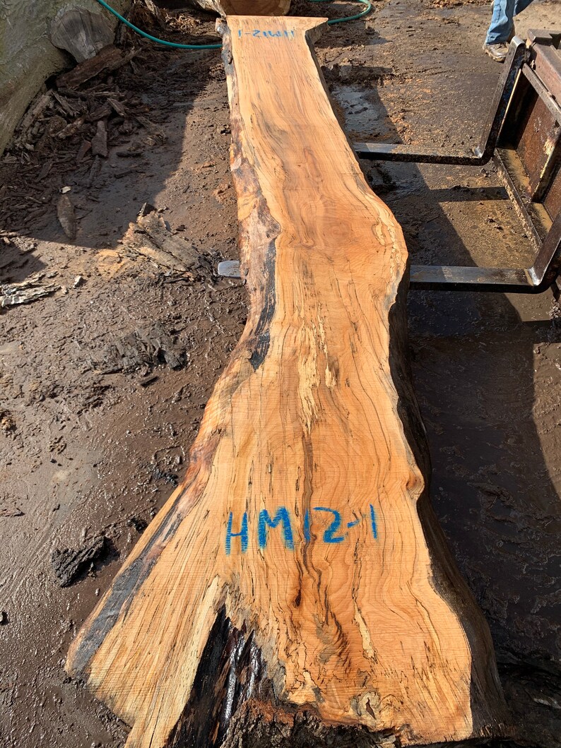 Spalted Sugar Maple Live Edge Slab 171 X 24-36 X - Etsy
