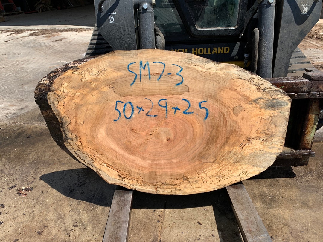 Spalted Silver Maple Live Edge Circle 50 X 29 X - Etsy