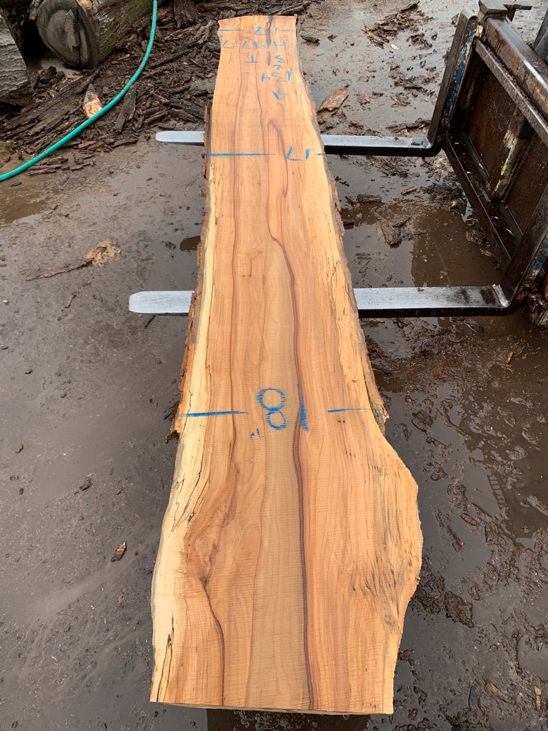 Spalted Hard Maple Live Edge Slab 134 X 17-18 X 3 - Etsy