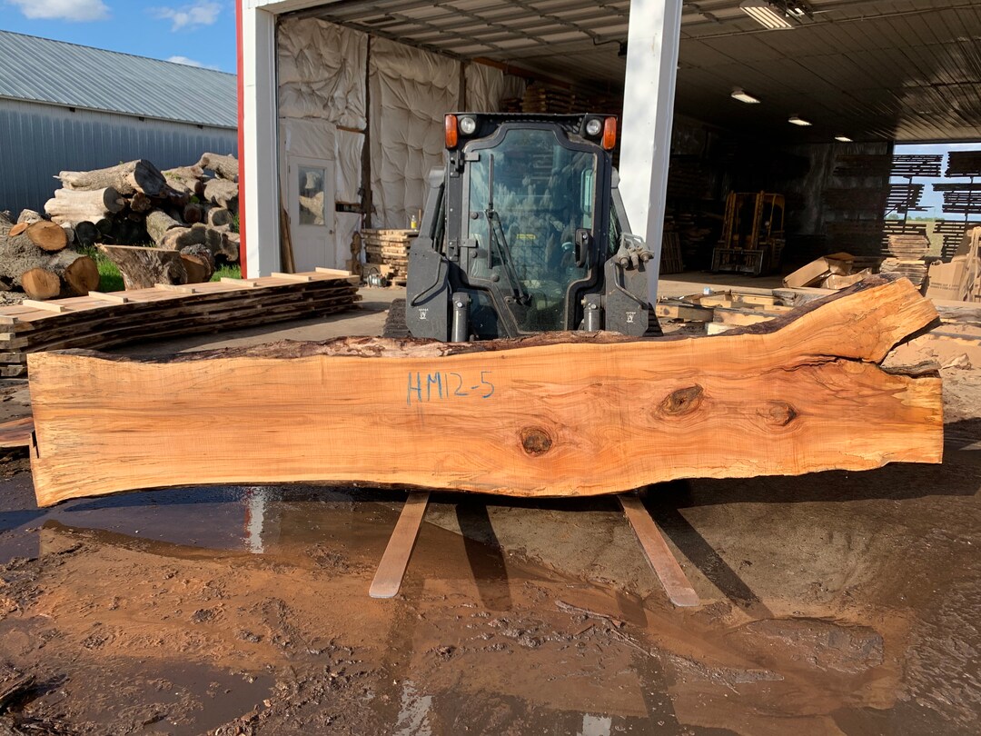 Spalted Sugar Maple Live Edge Slab 172 X 29-36 X - Etsy