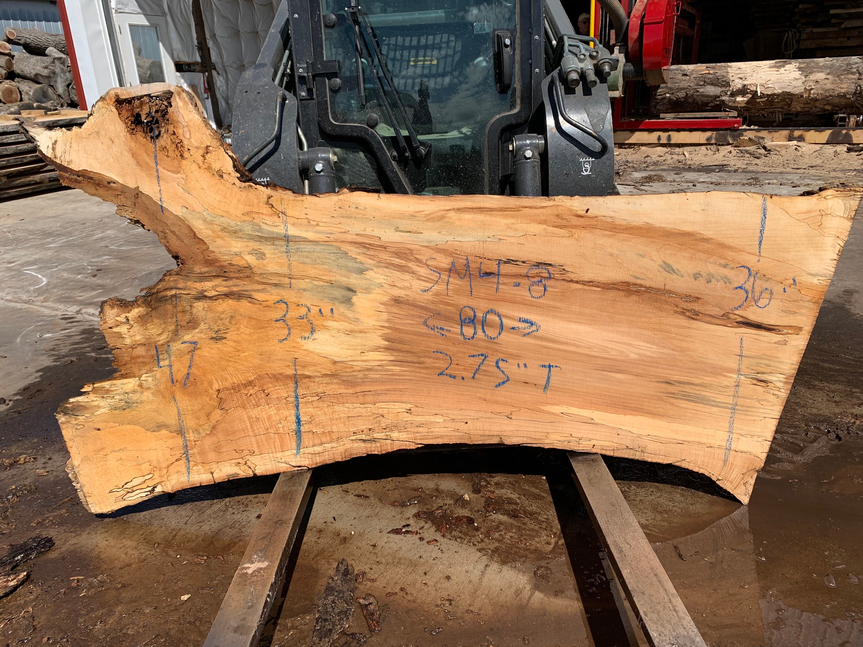 Spalted Silver Maple Live Edge Slab 80 X 33-47 X 2.75 Perfect for Bar ...