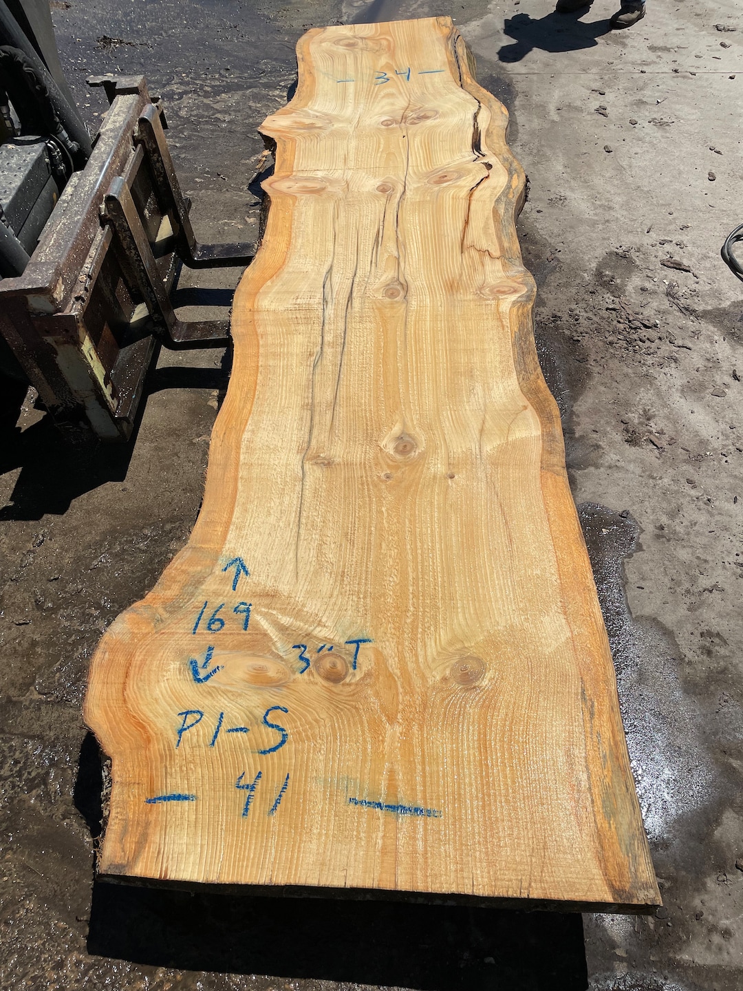 Large Knotty Pine Slab 169" X 34-41" X 3" - Etsy