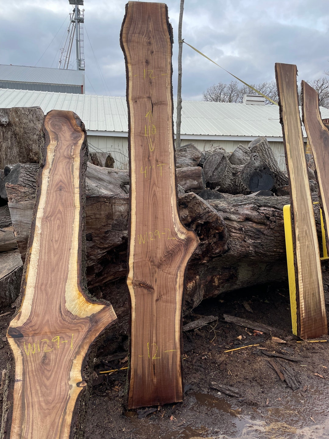 Extra Long Black Walnut Mantle 110 X 12 X 4 - Etsy