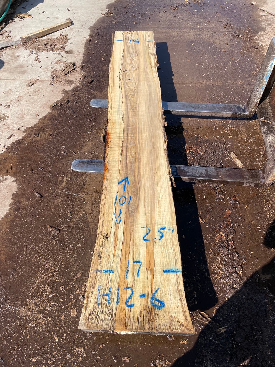 Wowza!!! Hackberry Slab 101" X 16-17" X 2.5" - Etsy