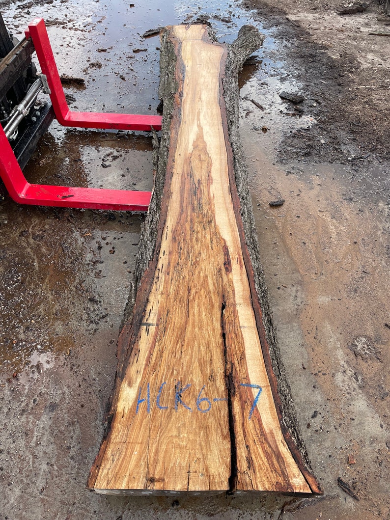 Straight Rustic Hickory Live Edge Slab 148 X 22-23 X 3 Perfect for Bar ...