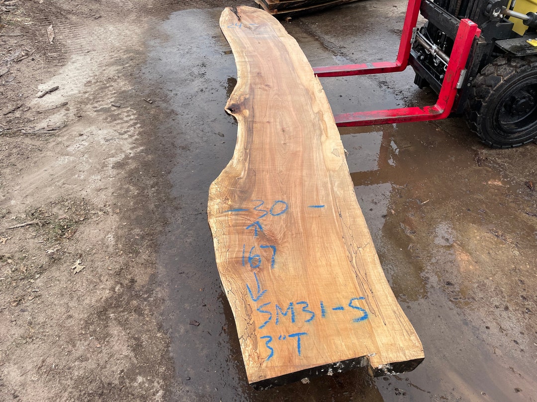 Spalted Silver Maple Live Edge Slab 167" X 24-30" X 3" Perfect for ...