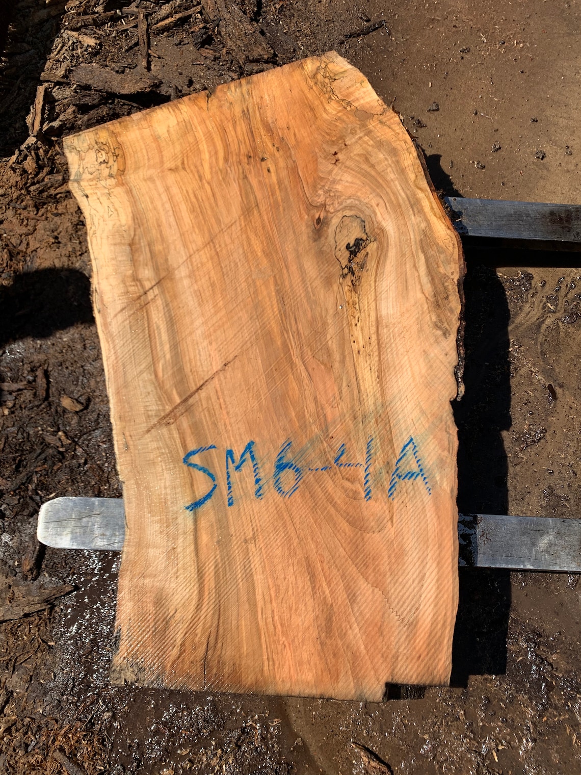 Spalted Silver Maple Live Edge Slab 50 X 23-31 X 3 Perfect for Coffee ...