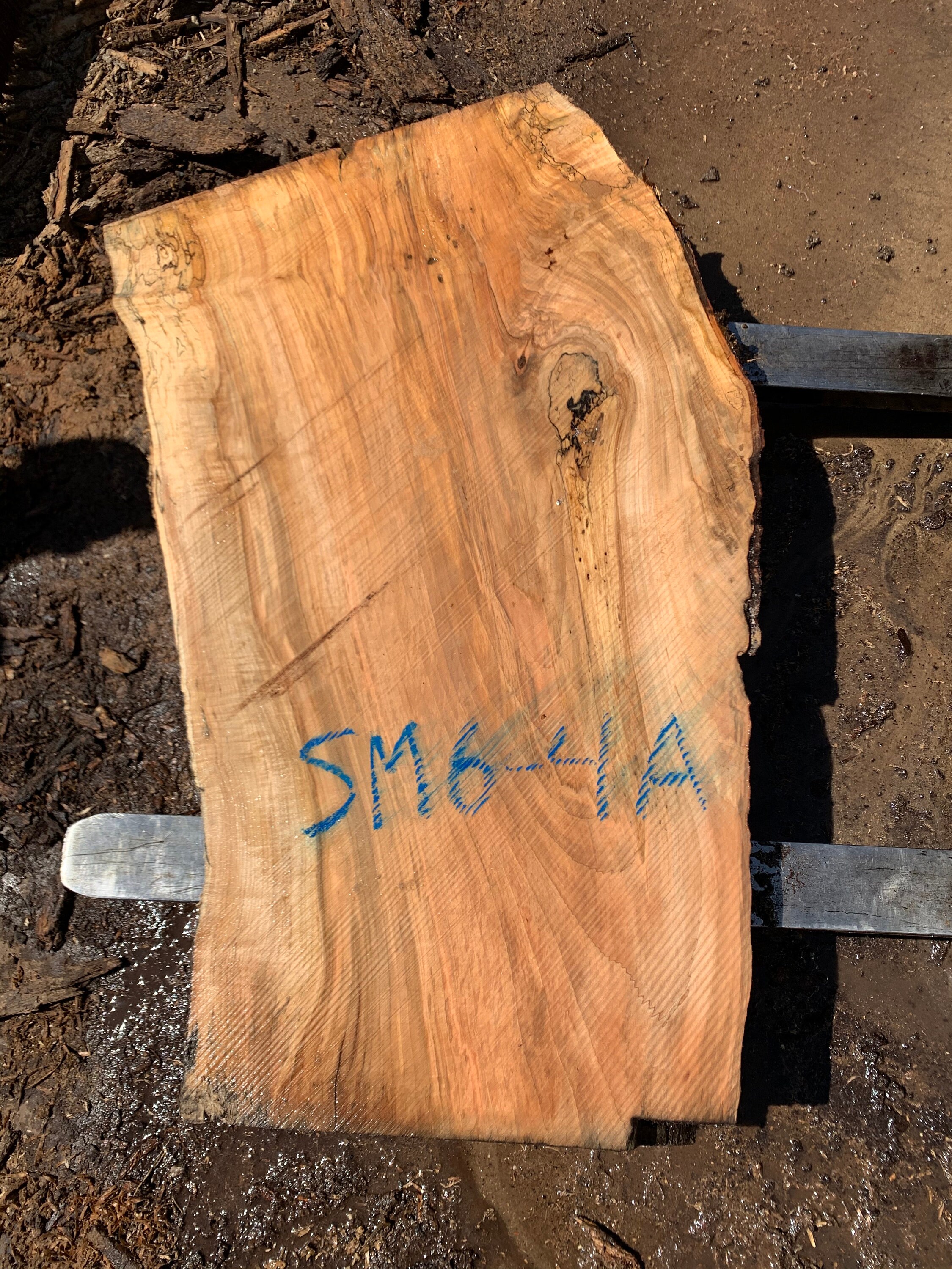 Spalted Silver Maple Live Edge Slab 50 X 23-31 X 3 Perfect for Coffee ...