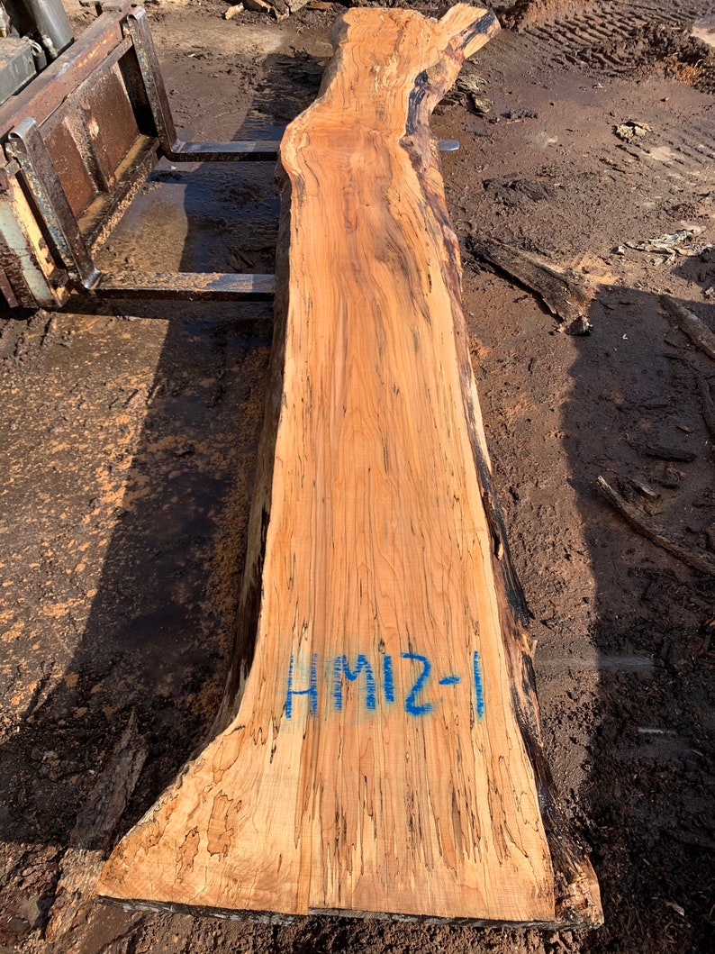 Spalted Sugar Maple Live Edge Slab 171 X 24-36 X - Etsy