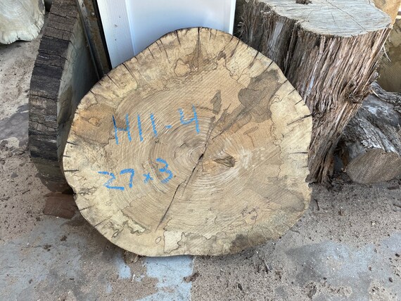 Hackberry Log