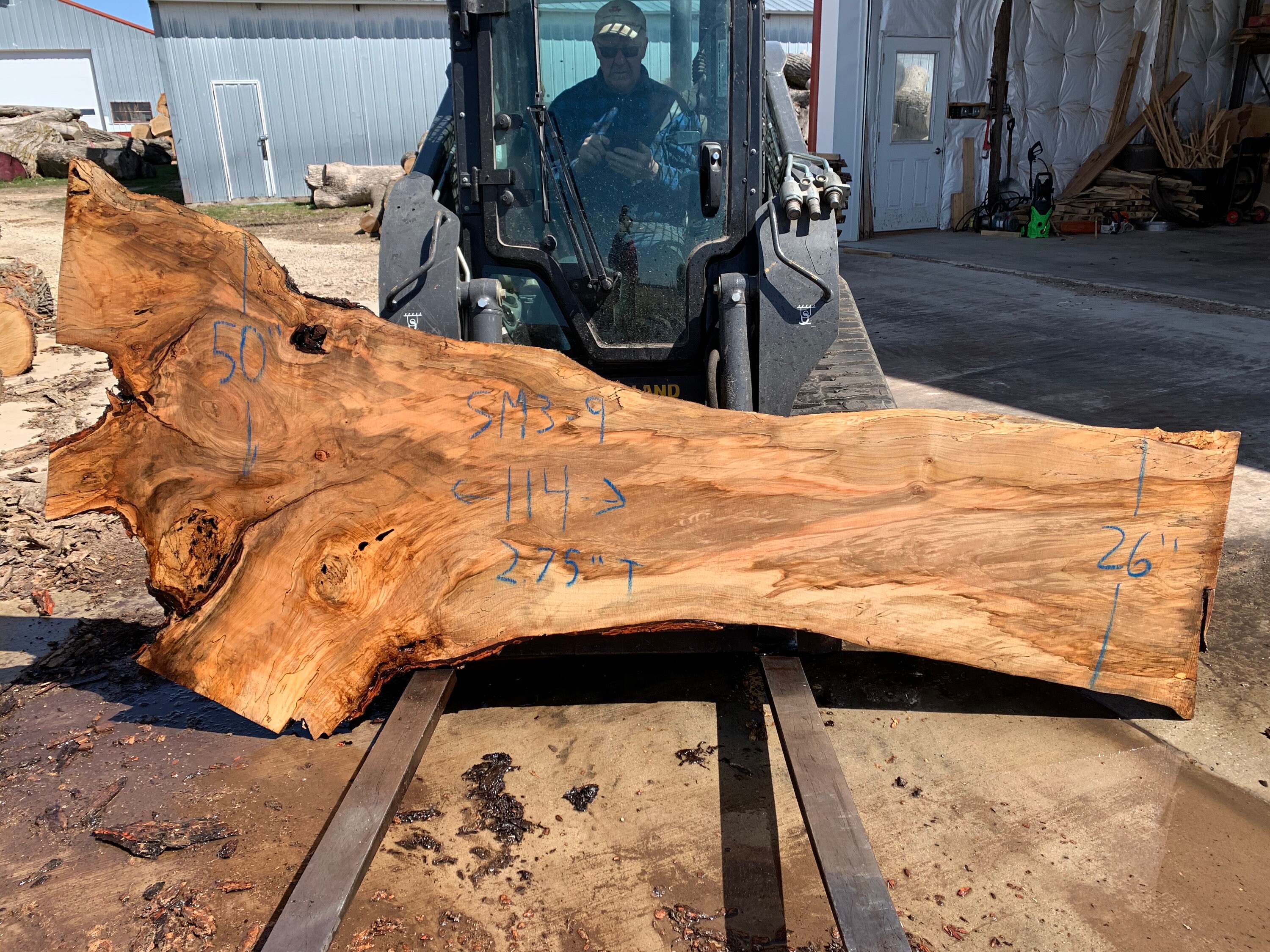 Spalted Silver Maple Live Edge Slab 114 x 26-50 x | Etsy