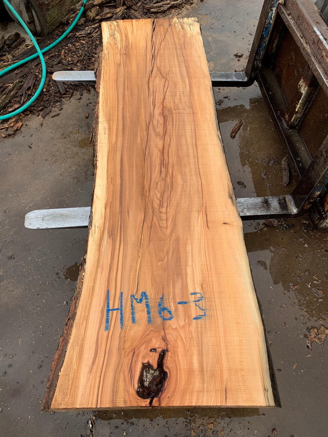 Hard Maple Live Edge Slab 91" X 27" X 3" - Etsy
