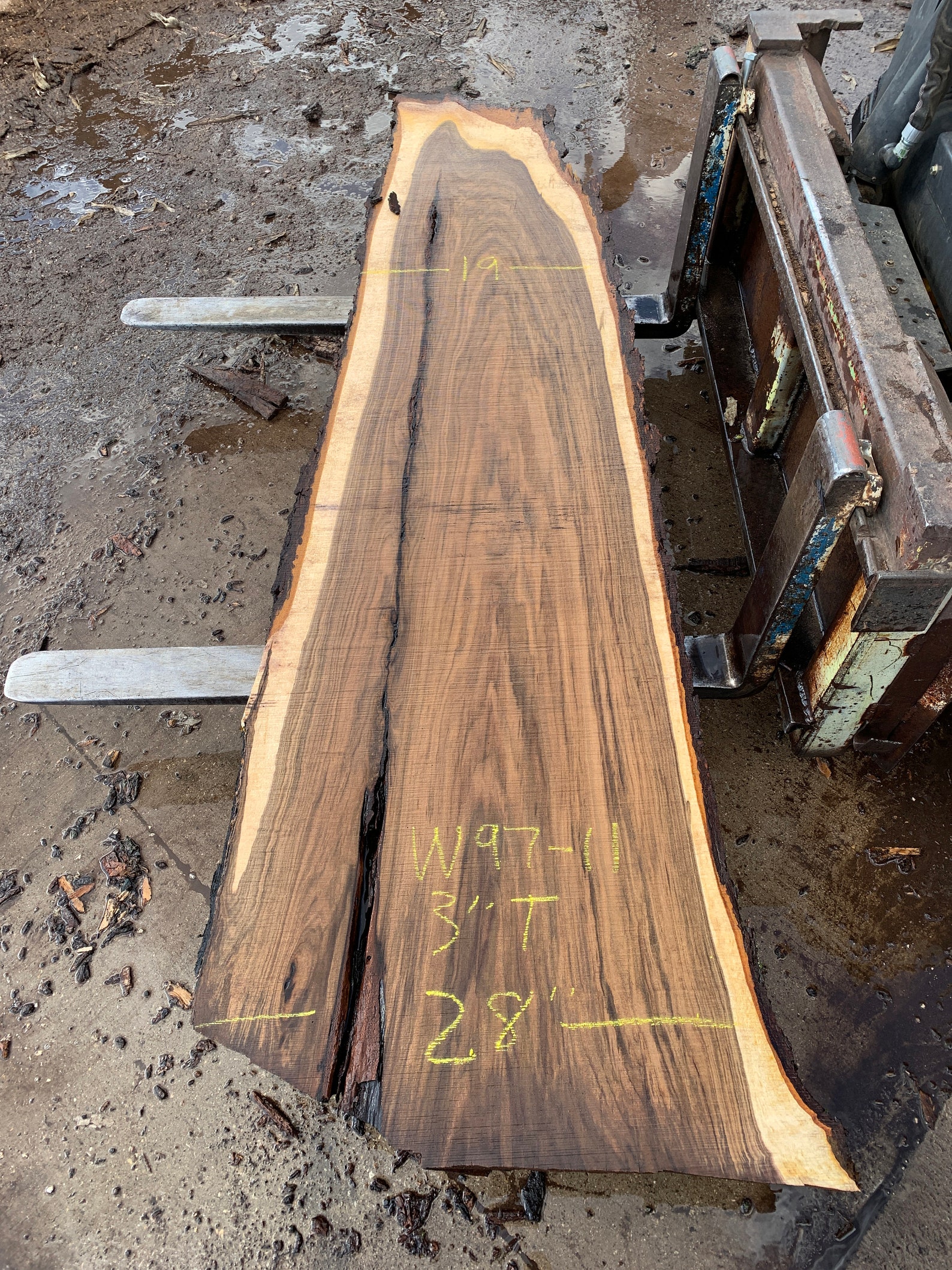 Figured Live Edge Black Walnut 96 X 19-28 X - Etsy