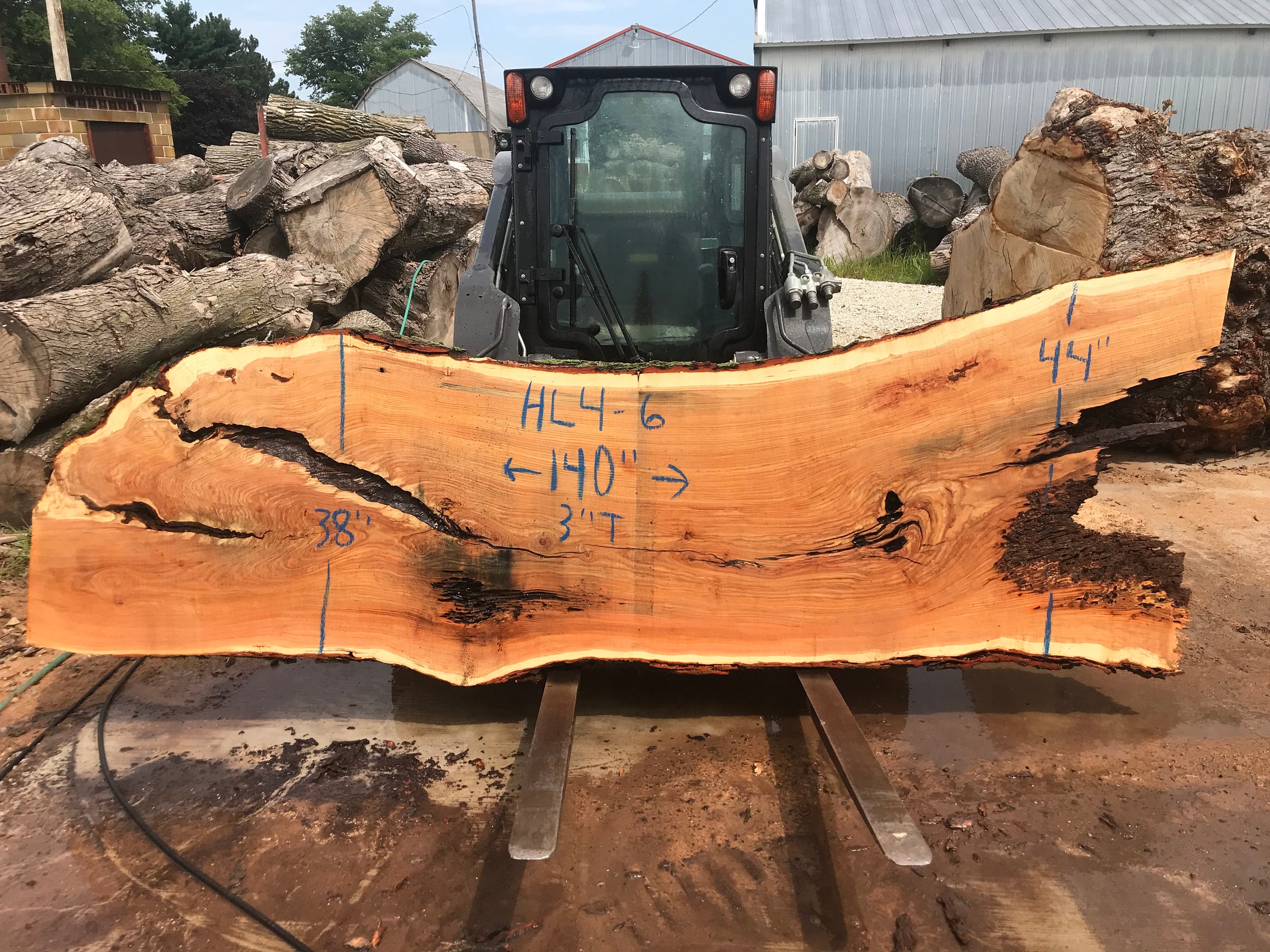 Unique Live Edge Honey Locust Slab With Lots of Character 140 X 44 X 3 ...