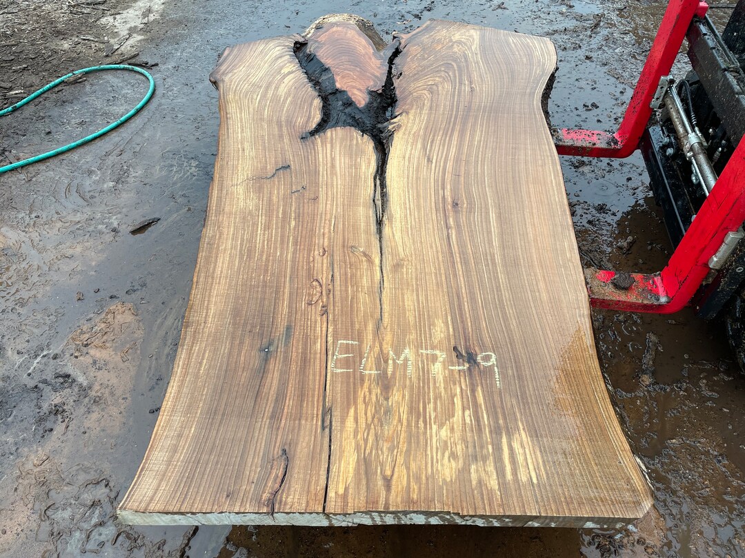 Perfect Table Top Slab, Siberian Elm 96" X 49-58" X 3", Natural Live ...
