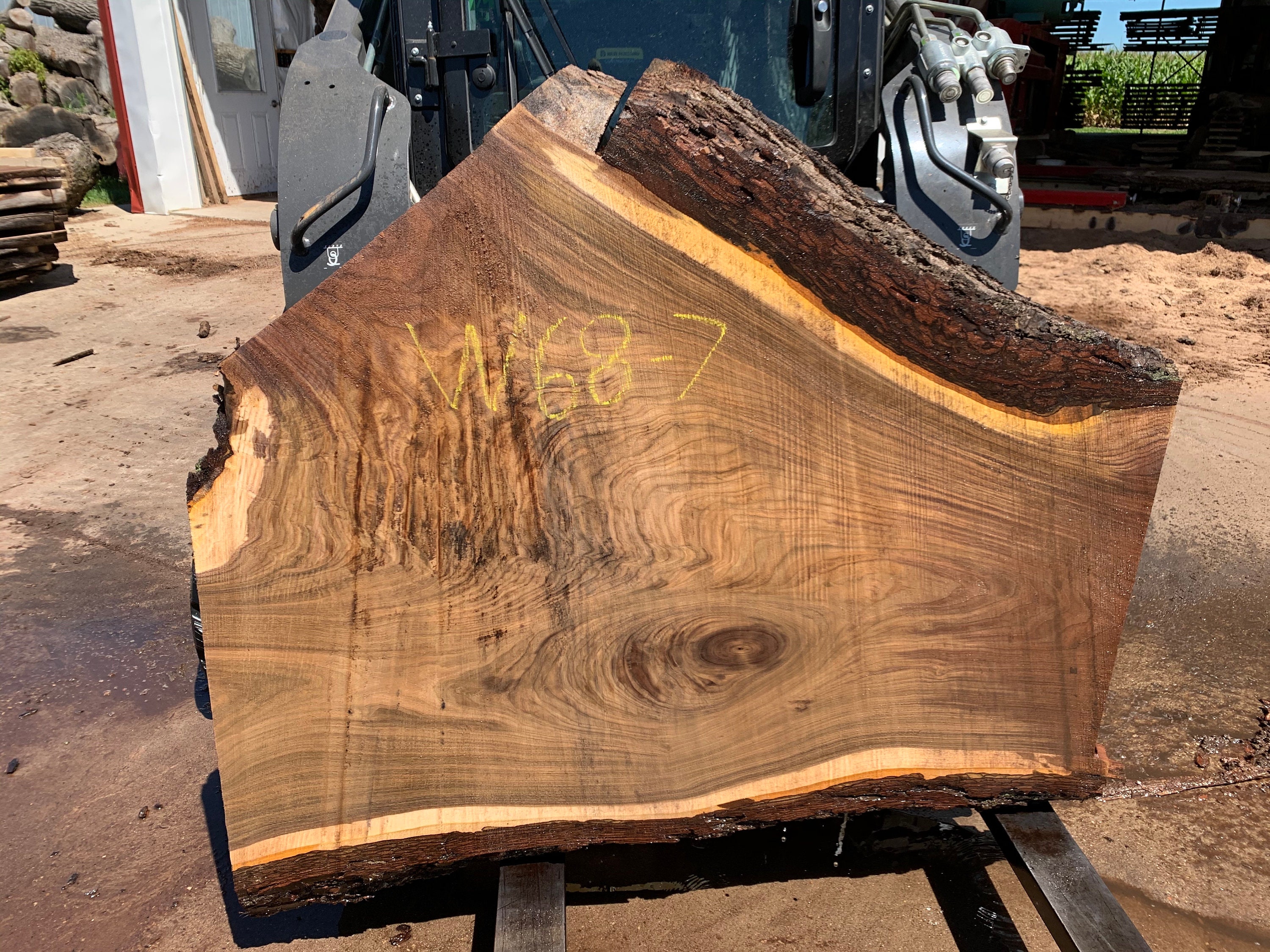 Beautiful BLACK WALNUT Live Edge Slab 53 X 28-43 X 3 Perfect for Coffee ...
