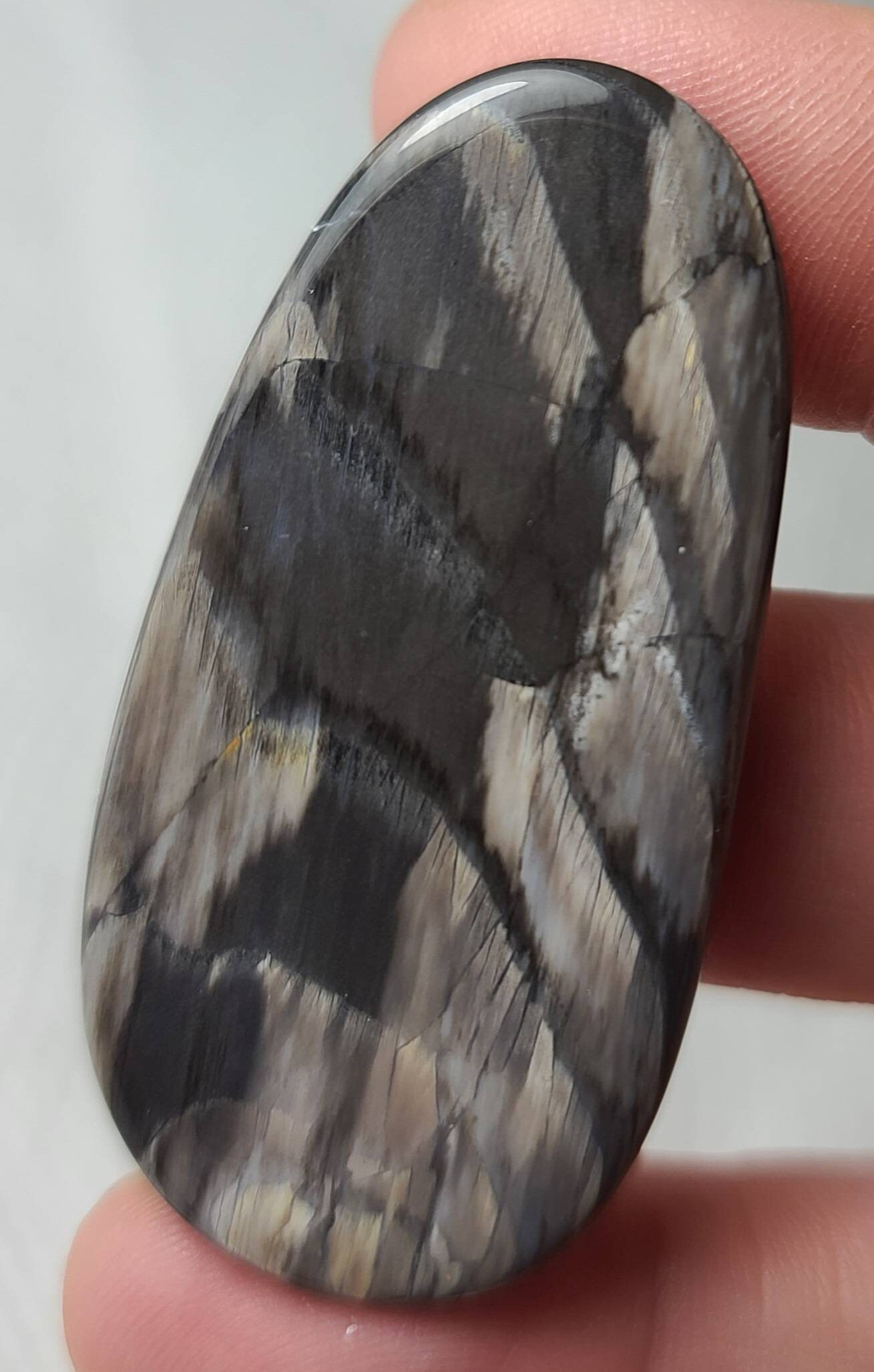 Black Mist Herringbone Petrified Wood Cabochon - Etsy