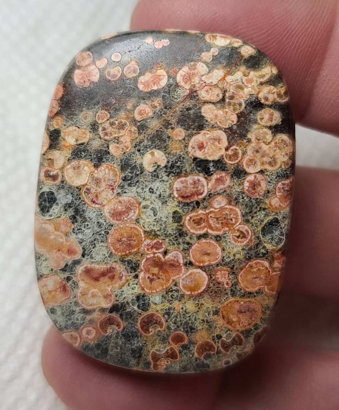 New Find in Nevada Starlight Orbicular Rhyolite Cabochon - Etsy