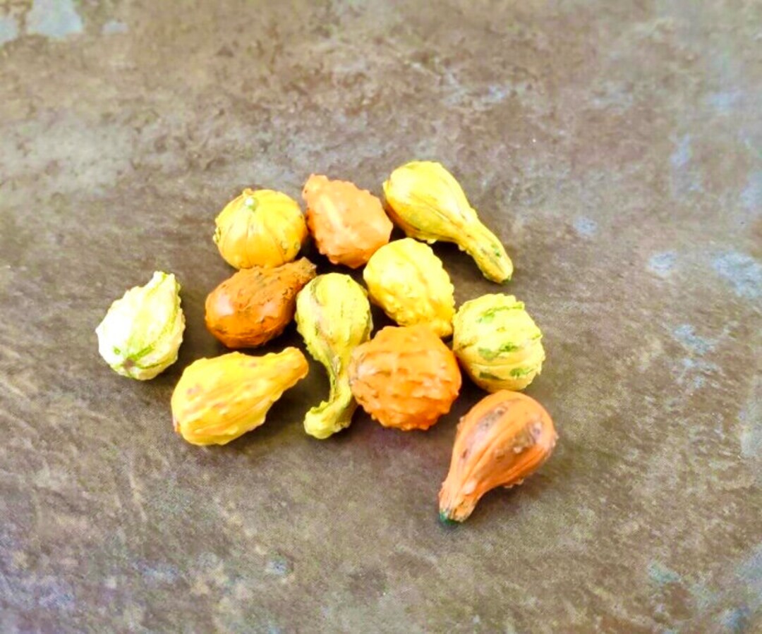 Dollhouse Miniature, Fairy Garden, Diorama, Set of 11 Miniature Gourds ...