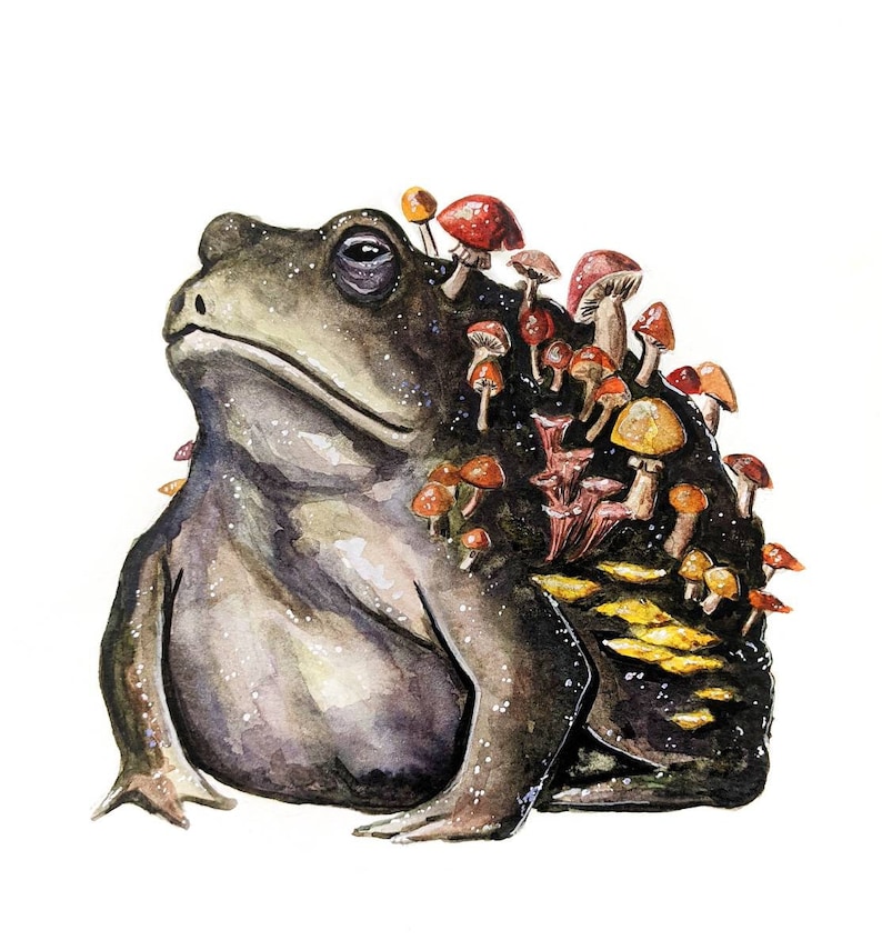 Toadstool Toad Art Fantasy Road Art Mushroom Art - Etsy